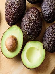 Avocado - Hass (type A) Advanced – Fruitopia Nursery