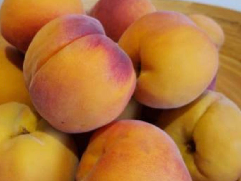 Peachcot – Fruitopia Nursery